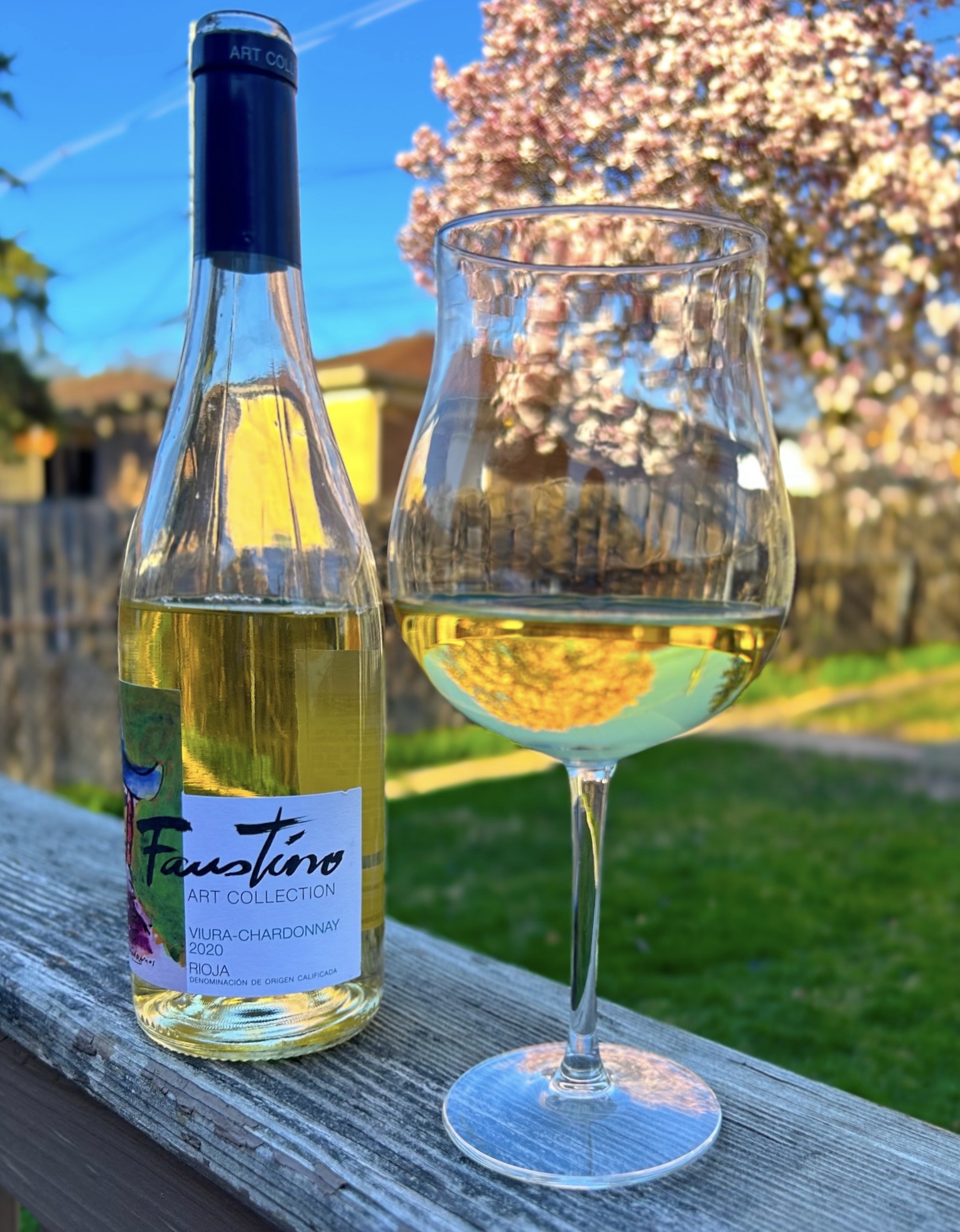 Unpolished Grape Series: Viura - Unpolished Grape